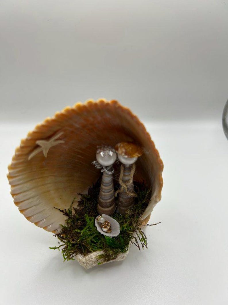 Seashell Nativity - Etsy