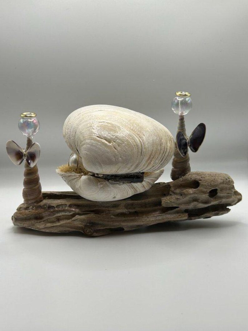 Clam Shell and Drift Wood Baby Jesus With Angels - Etsy