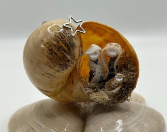 Large Seashell Nativity Made With Driftwood - Etsy