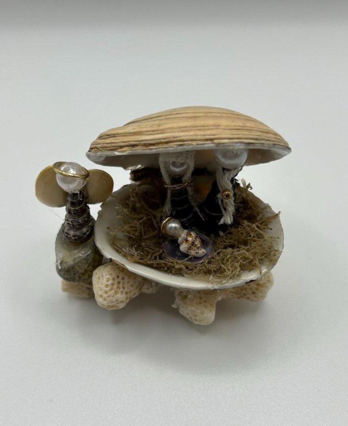 Small Clam Shell Nativity - Etsy