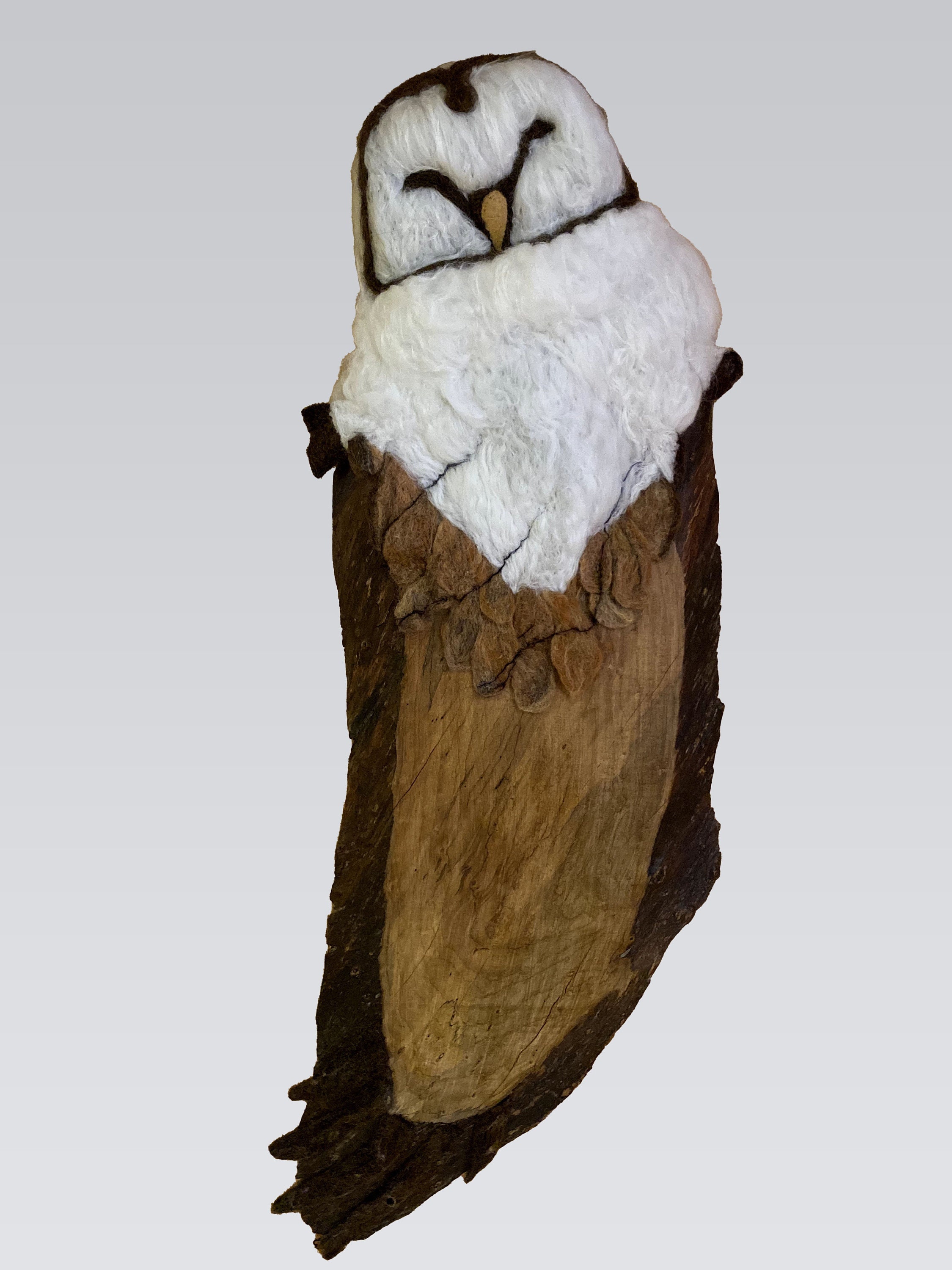 Barn Owl Sculpture Wall Hanging, Needle Felted Owl, Snowy Owl, Live ...