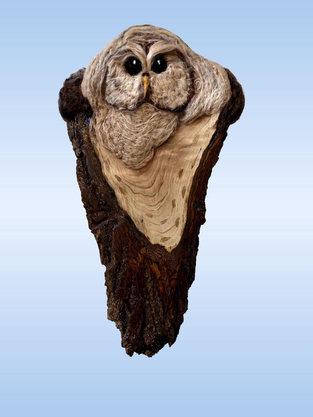 Barred Owl Sculpture Wall Hanging, Needle Felted Owl, Live Edge Walnut ...