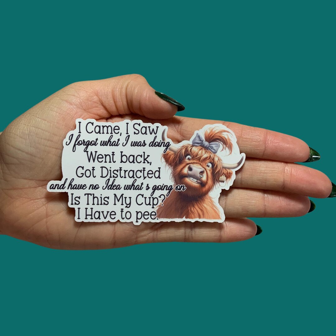 I Came I Saw I Forgot What I Was Doing... Vinyl Sticker, Water ...