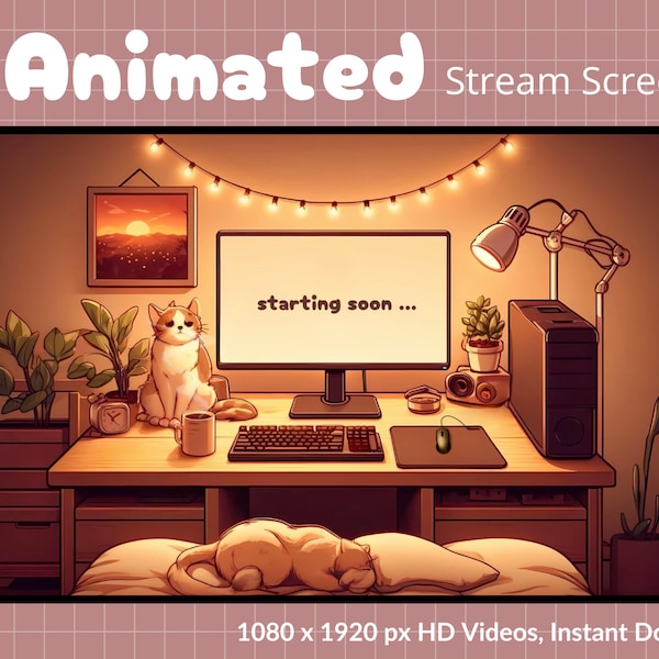 Tiktok Starting Soon Overlay - Etsy