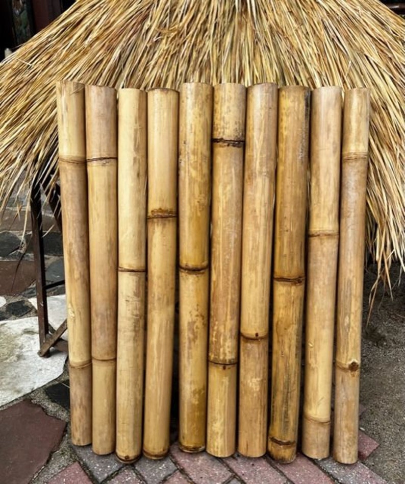 5 Bamboo Poles Each 1.00 Meter Bamboo Tubes Natural Diameter 8-10 Cm ...