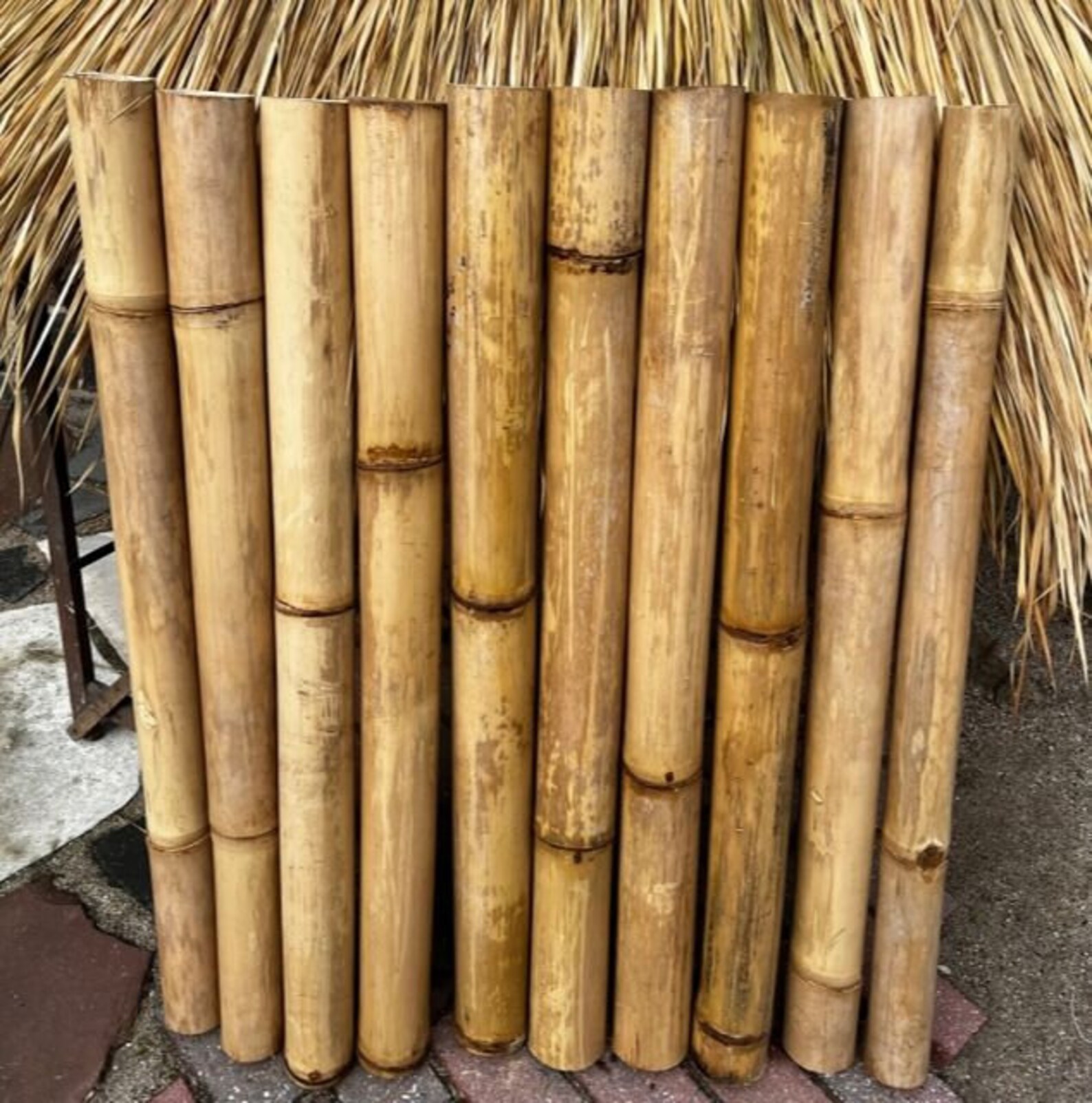 5 Bamboo Poles Each 1.00 Meter Bamboo Tubes Natural Diameter 8-10 Cm ...
