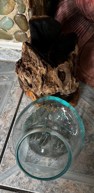 Root Wood Glass Vase Decorative Glass Flower Vase Liqva Vase - Etsy