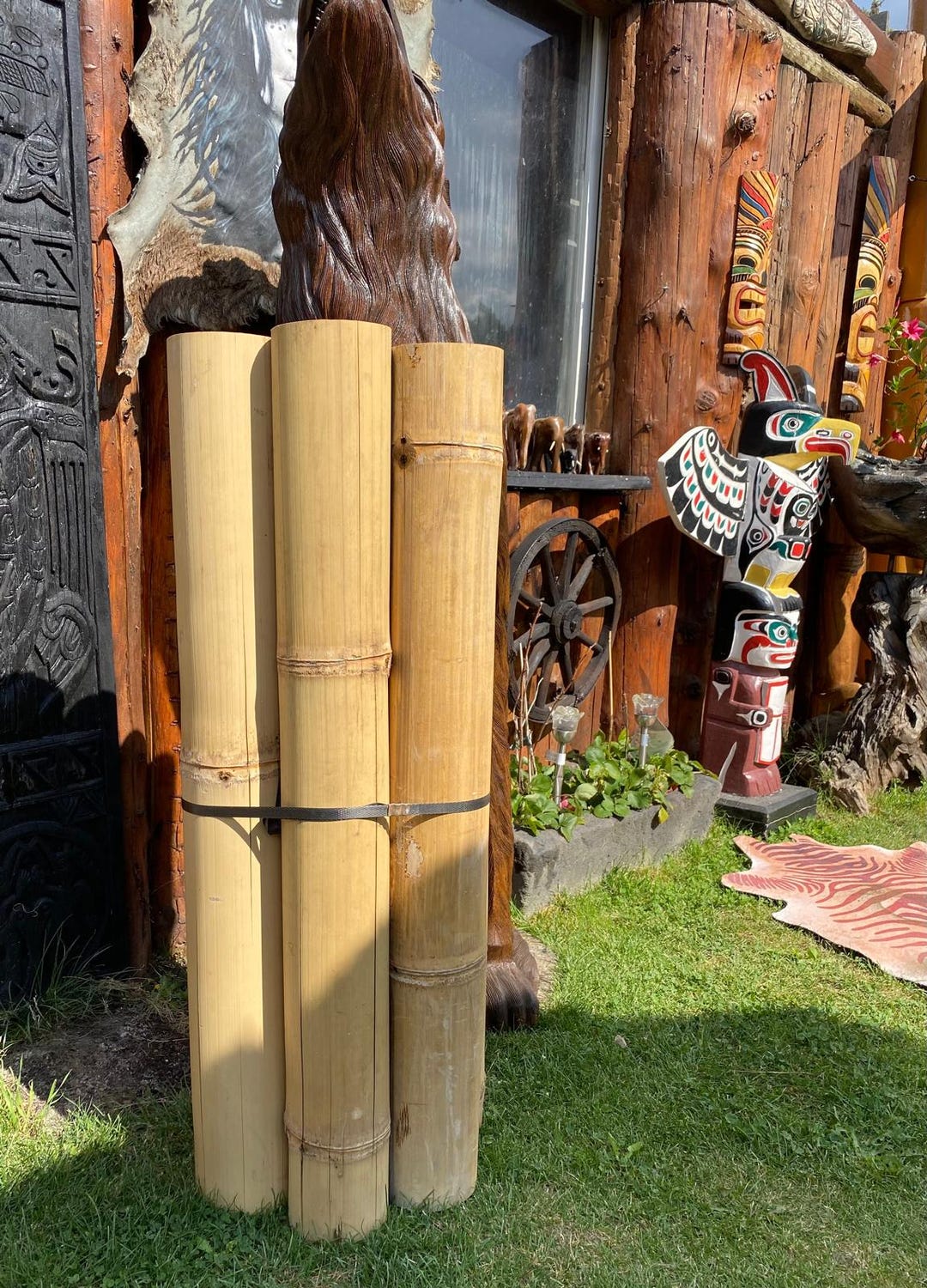 10 Bamboo Poles, Each 0.50 Meters Long, Natural Bamboo Tubes, Diameter ...