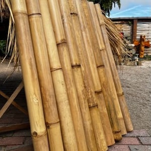 5 Bamboo Poles Each 1.00 Meter Bamboo Tubes Natural Diameter 8-10 Cm ...
