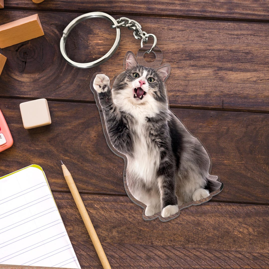 Custom Cat Photo Keychain, Pet Photo Keychain, Cat Lover Gifts, Cat ...