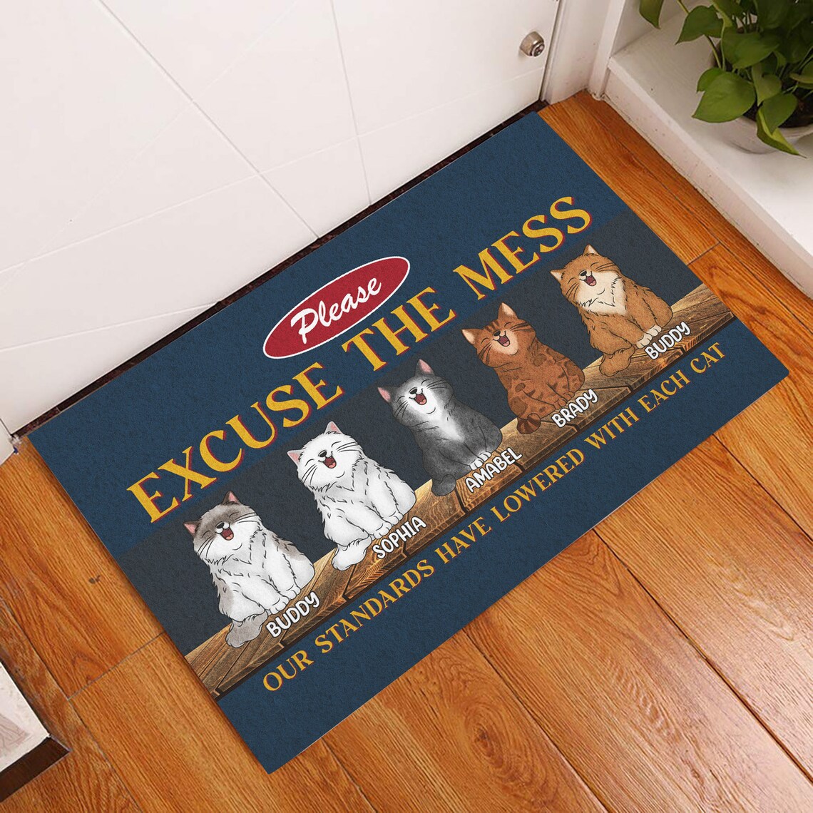 Cat Mat, Personalized Cat Doormat, Custom Cat Welcome Mat, Cat Lover ...