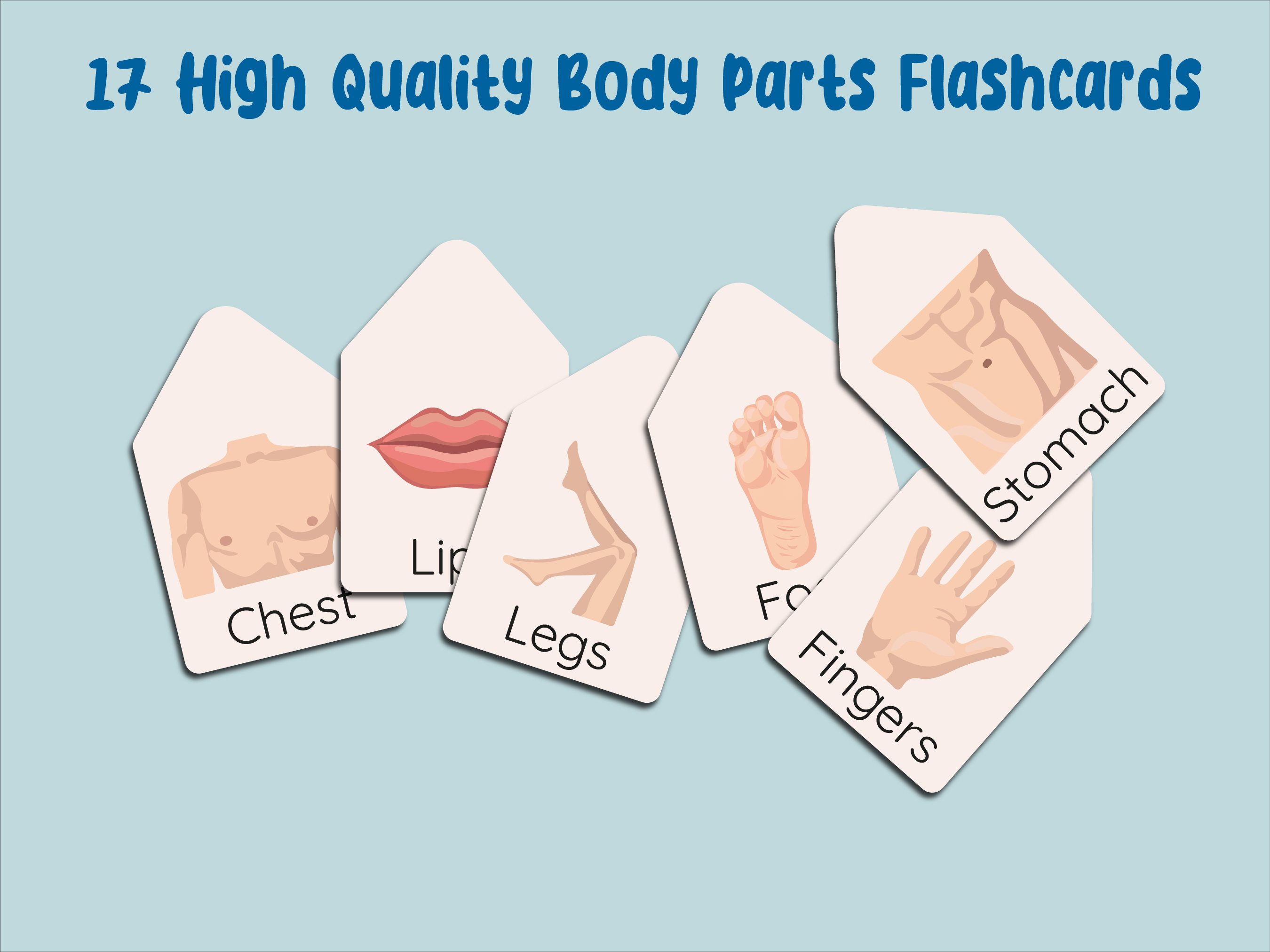 My Body Parts Flashcards, 17 My Body Parts Flashcards and 2 Poster ...
