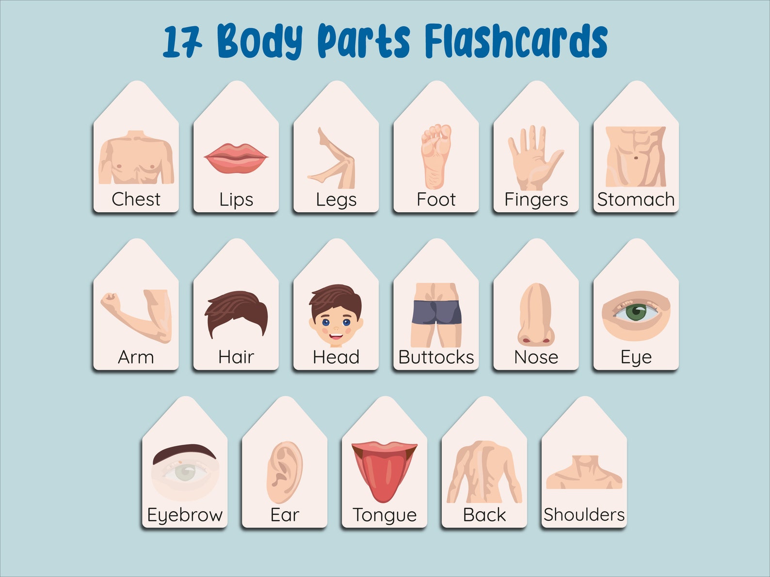 My Body Parts Flashcards, 17 My Body Parts Flashcards and 2 Poster ...