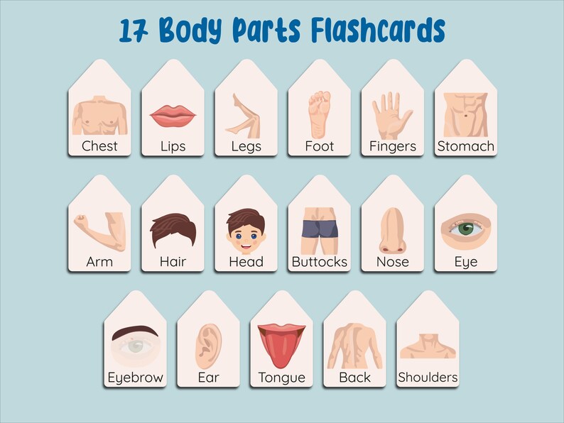 My Body Parts Flashcards, 17 My Body Parts Flashcards and 2 Poster ...