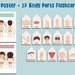 My Body Parts Flashcards, 17 My Body Parts Flashcards and 2 Poster ...