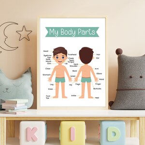 My Body Parts Flashcards, 17 My Body Parts Flashcards and 2 Poster ...