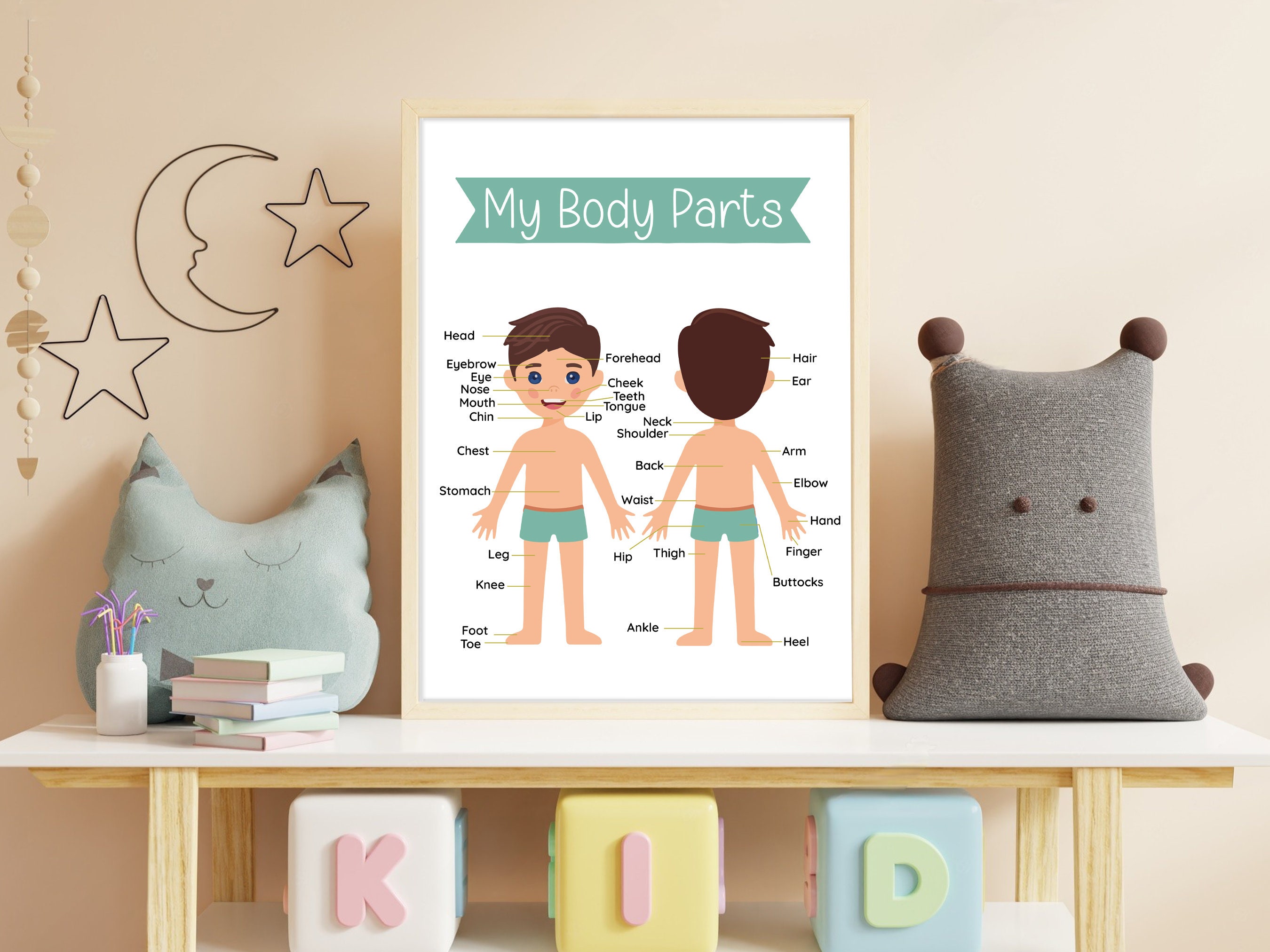 My Body Parts Flashcards, 17 My Body Parts Flashcards and 2 Poster ...