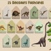 Dinosaurs Flashcards, Cartoon Dinosaurs Flashcards, Illustrations ...