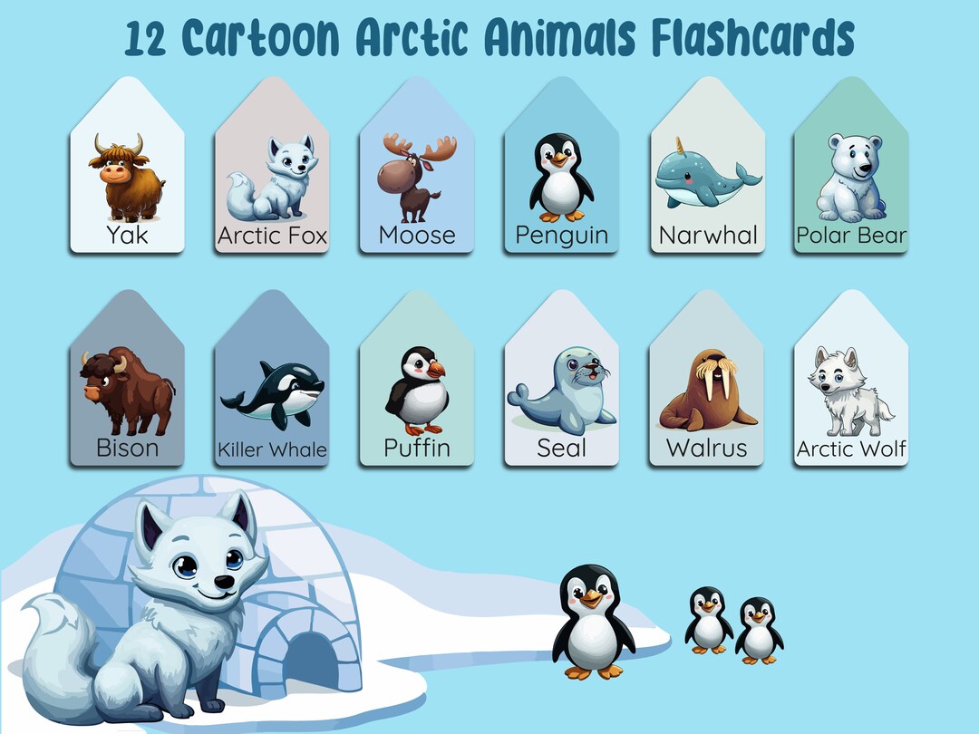 Arctic Animals Flashcards, Cartoon Arctic Animals, Illustrations Arctic ...