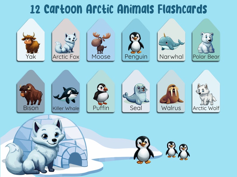 Arctic Animals Flashcards, Cartoon Arctic Animals, Illustrations Arctic ...