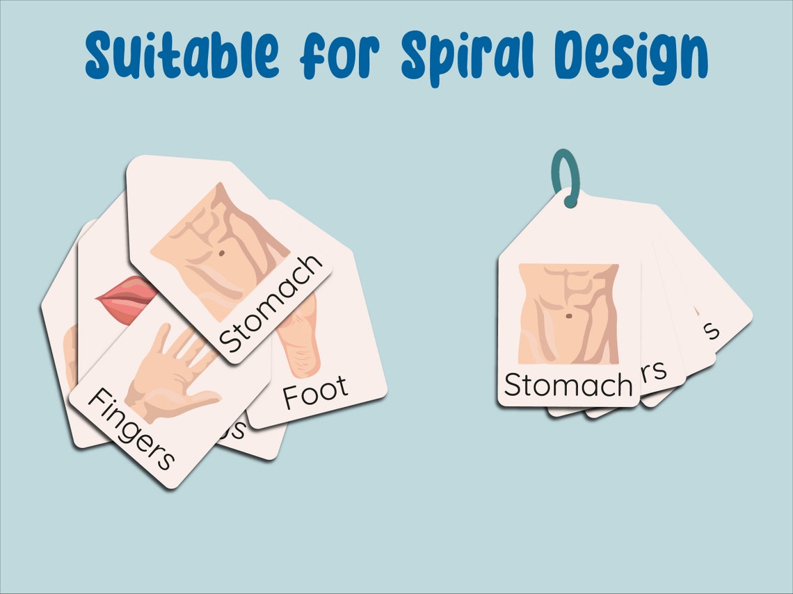 My Body Parts Flashcards, 17 My Body Parts Flashcards and 2 Poster ...