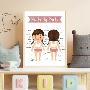 My Body Parts Flashcards, 17 My Body Parts Flashcards and 2 Poster ...