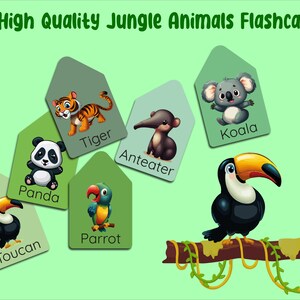 Jungle Animals Flashcards, Illustrations Jungle Animals Flashcards ...