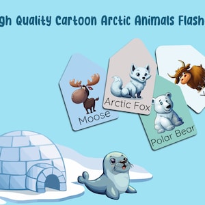 Arctic Animals Flashcards, Cartoon Arctic Animals, Illustrations Arctic ...