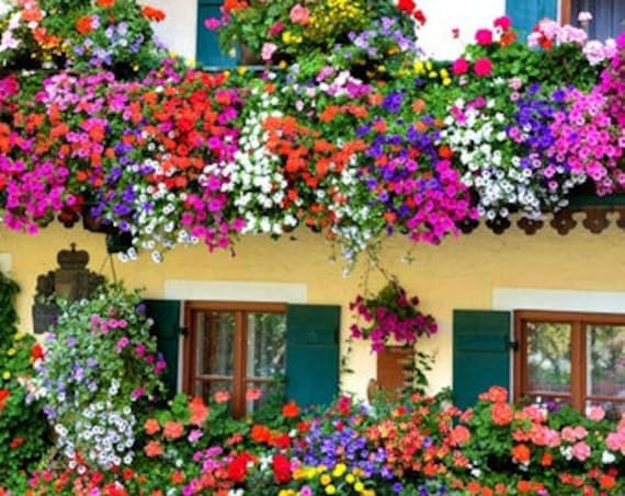 Balcony flower pots store