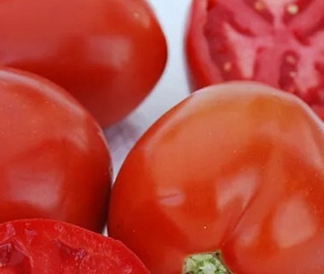 Tomato, Saucy Lady - Etsy