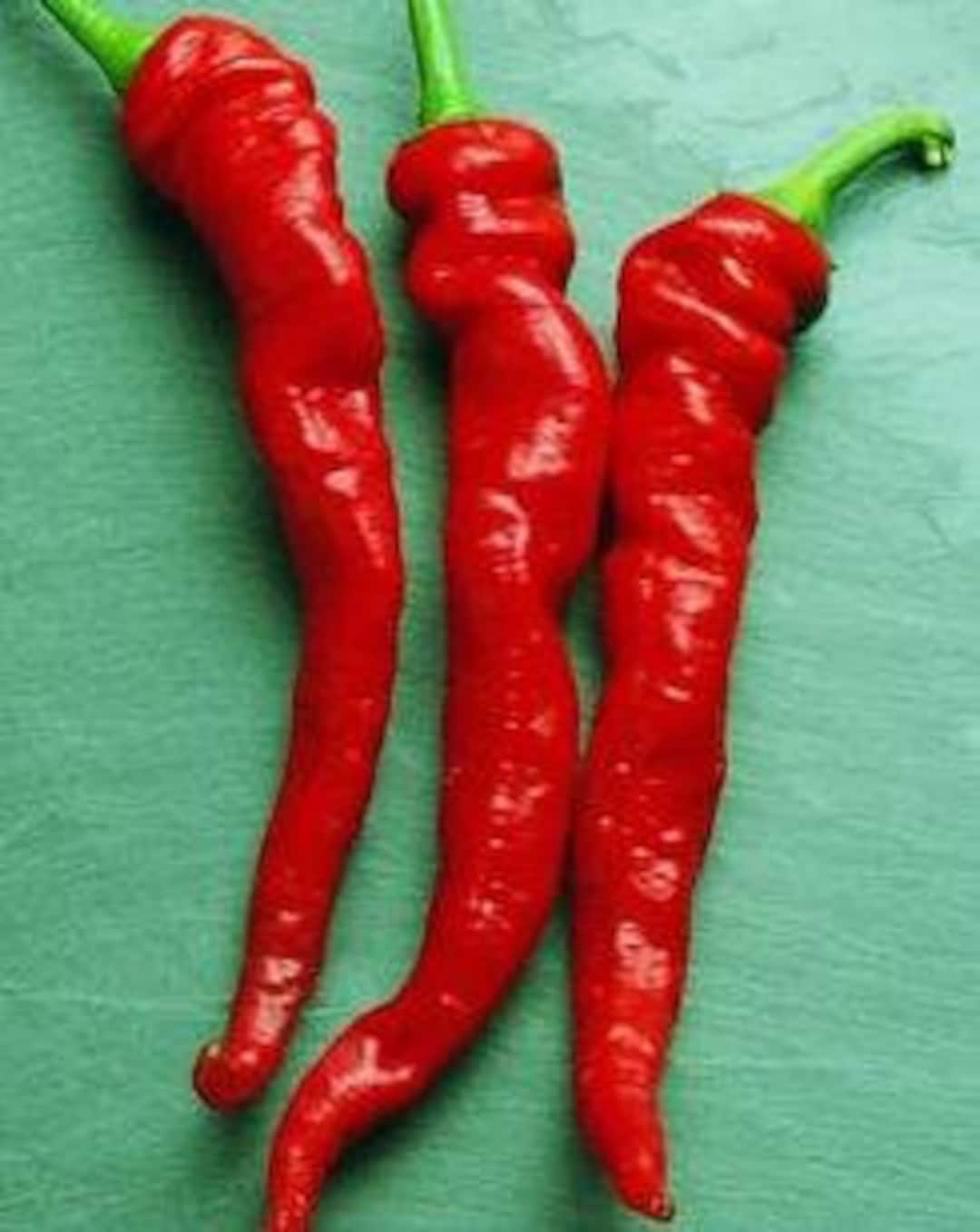 Pepper, Cayenne Long Red Thick - Etsy