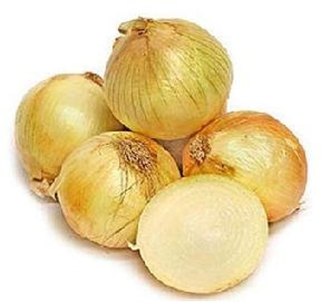 Onion, Texas Super Sweet - Etsy