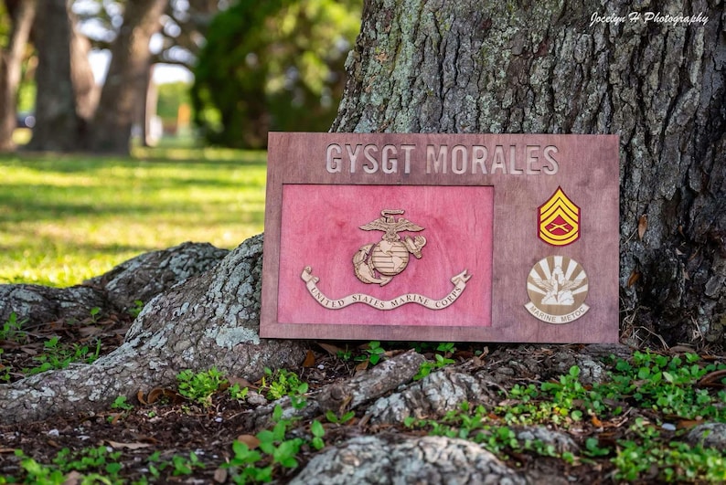Military Plaque With Flag Replica and Rank - Etsy