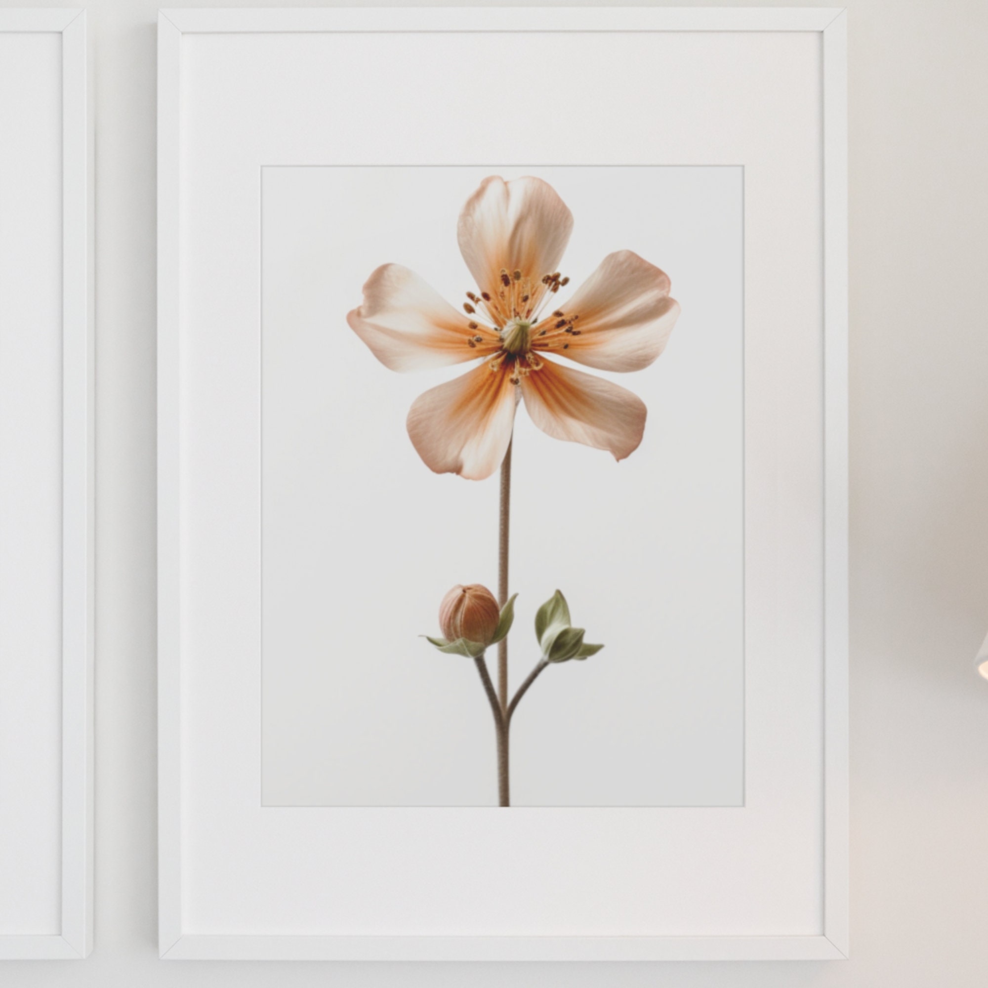 Boho Flower Wall Art, Floral Wall Art, Digital Download, Set of 2 - Etsy