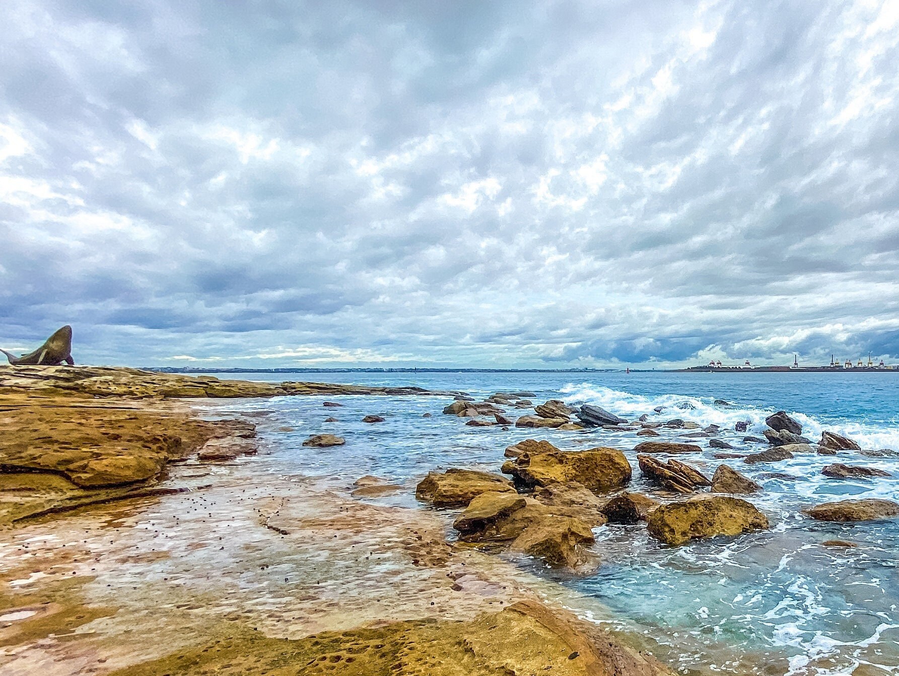 Whale Mother and Bub in Rocks at Kurnell in the Sutherland Shire, New ...