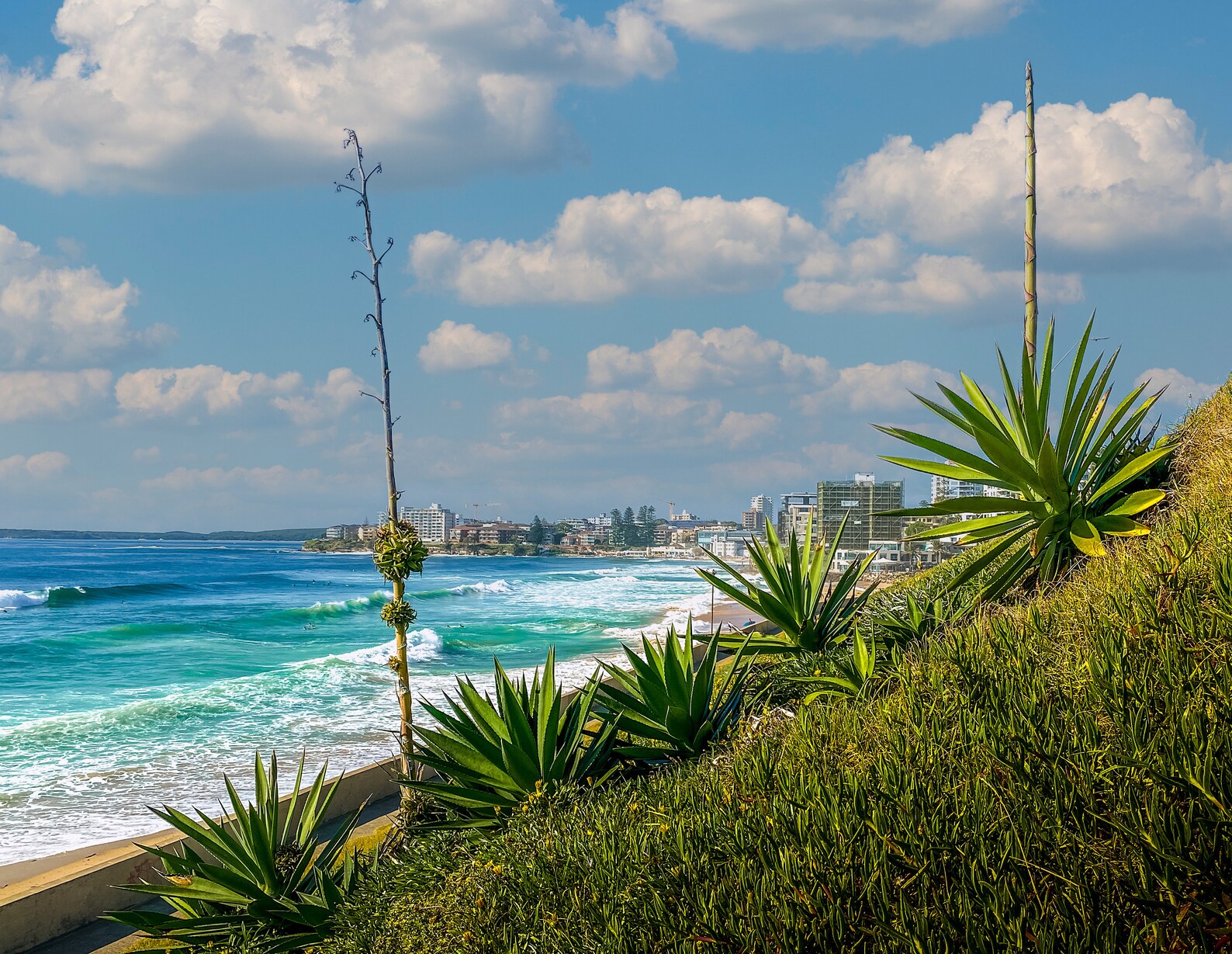 Cronulla Beach Art From a Different Perspective, on Wall Art ,canvas ...
