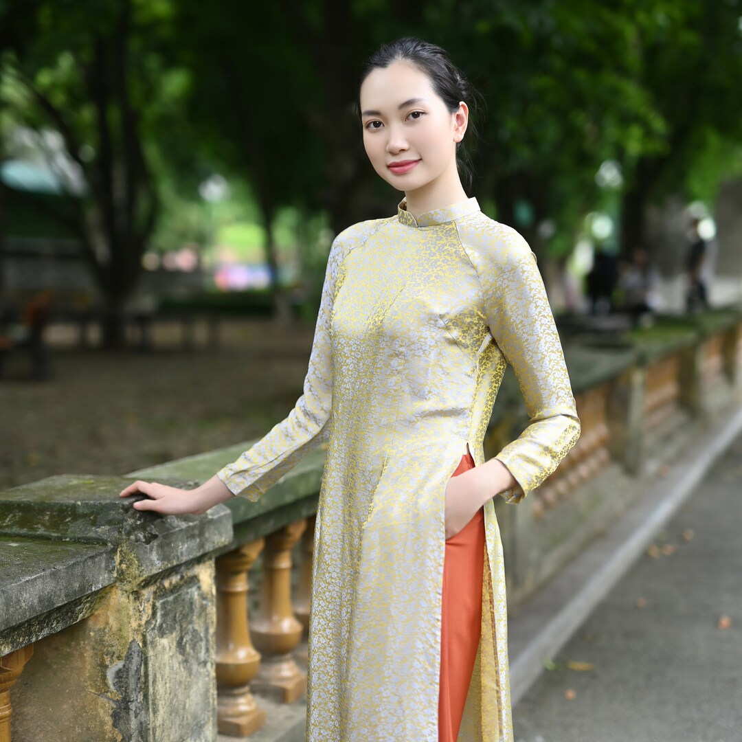 Mulberry Silk Vietnam Women Dress, Traditional Dress of Vietnamese, Ao ...