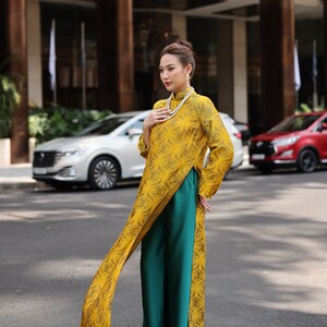 Vietnamese Long Dress, Traditional Dress of Vietnamese, Ao Dai Women ...