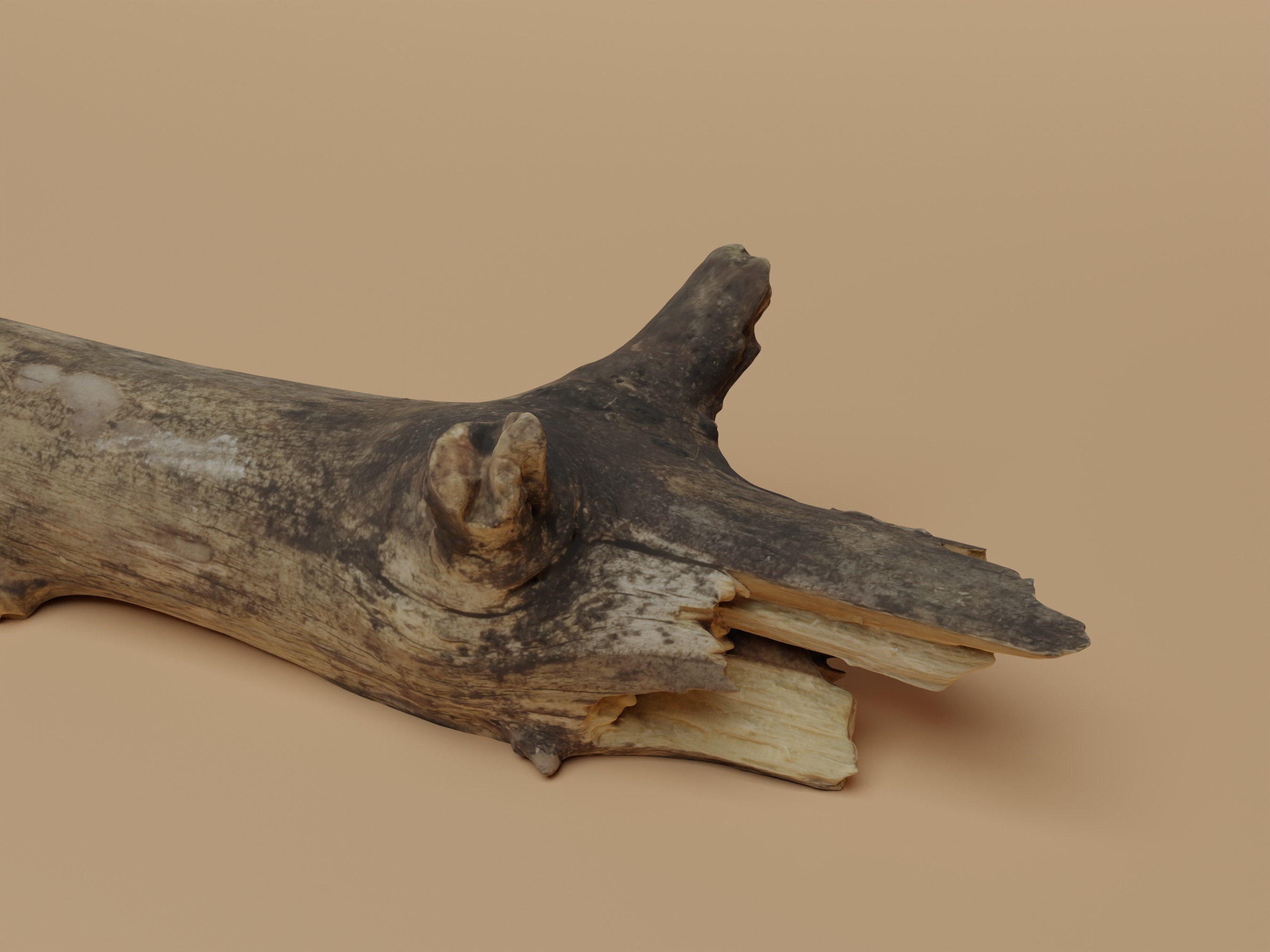 Ultra-realistic Full Color 3D Printed Tree Piece for Tabletop - Etsy