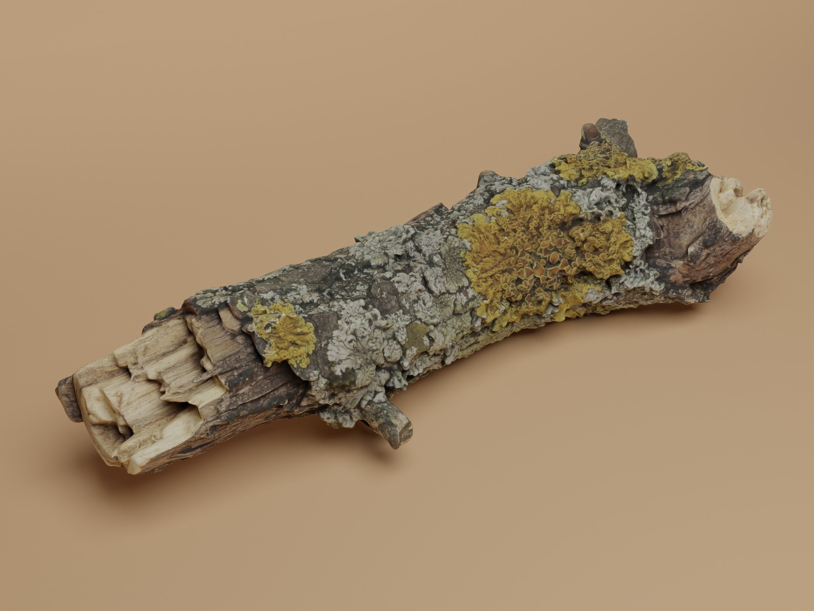 Ultra-realistic Full Color 3D Printed Tree Piece for Tabletop - Etsy