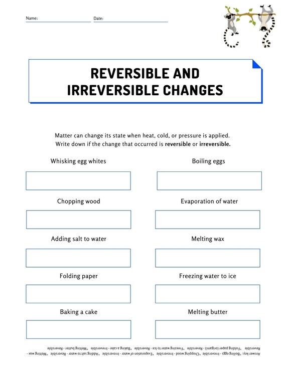 Learninglemurs Science Worksheet | Etsy