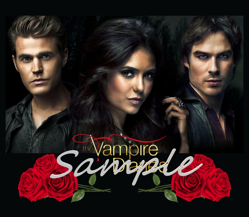 The Vampire Diaries stefan damon Alaina PNG Designs 20 Oz Skinny ...