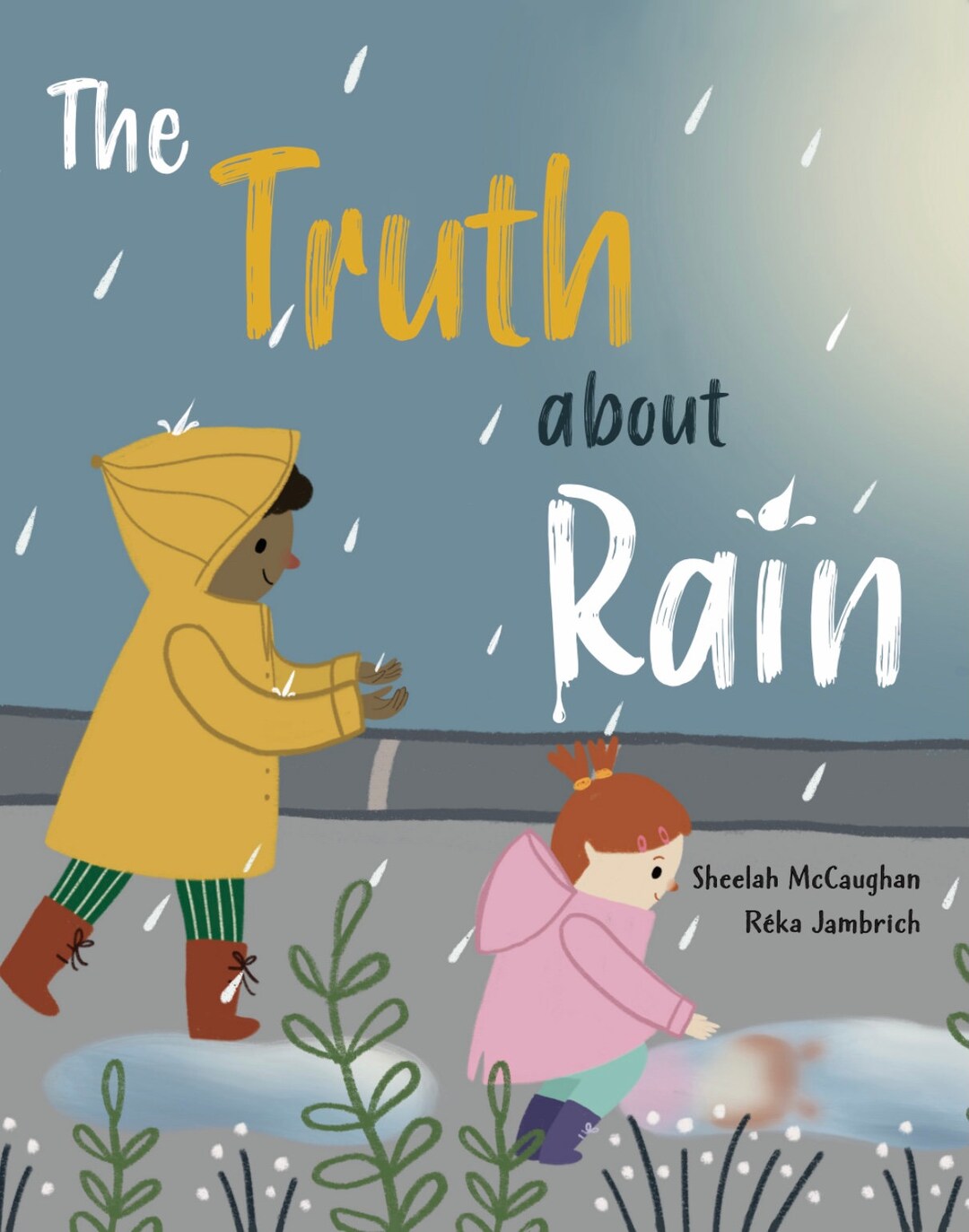The Truth About Rain, Childrens Book - Etsy