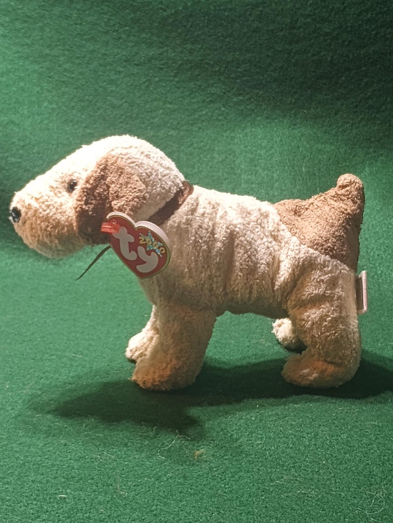 Rufus MINT RARE Ty " Rufus " Was Born With Errors in 2000 Which Makes ...