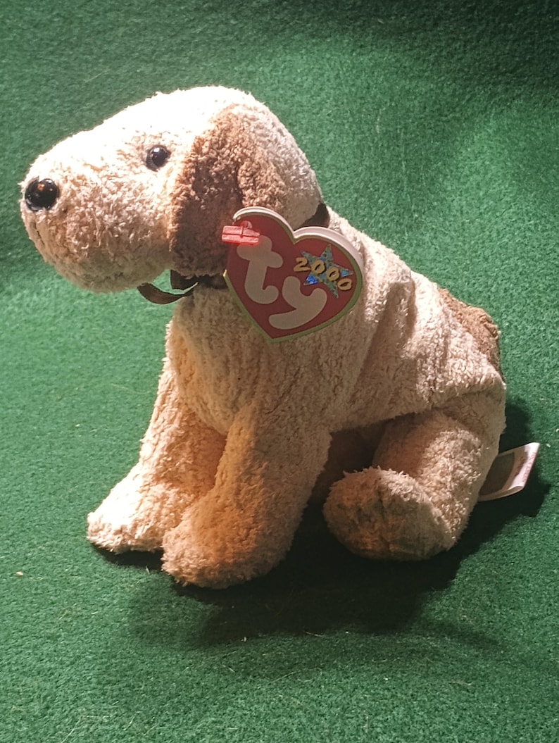 Rufus MINT RARE Ty " Rufus " Was Born With Errors in 2000 Which Makes ...