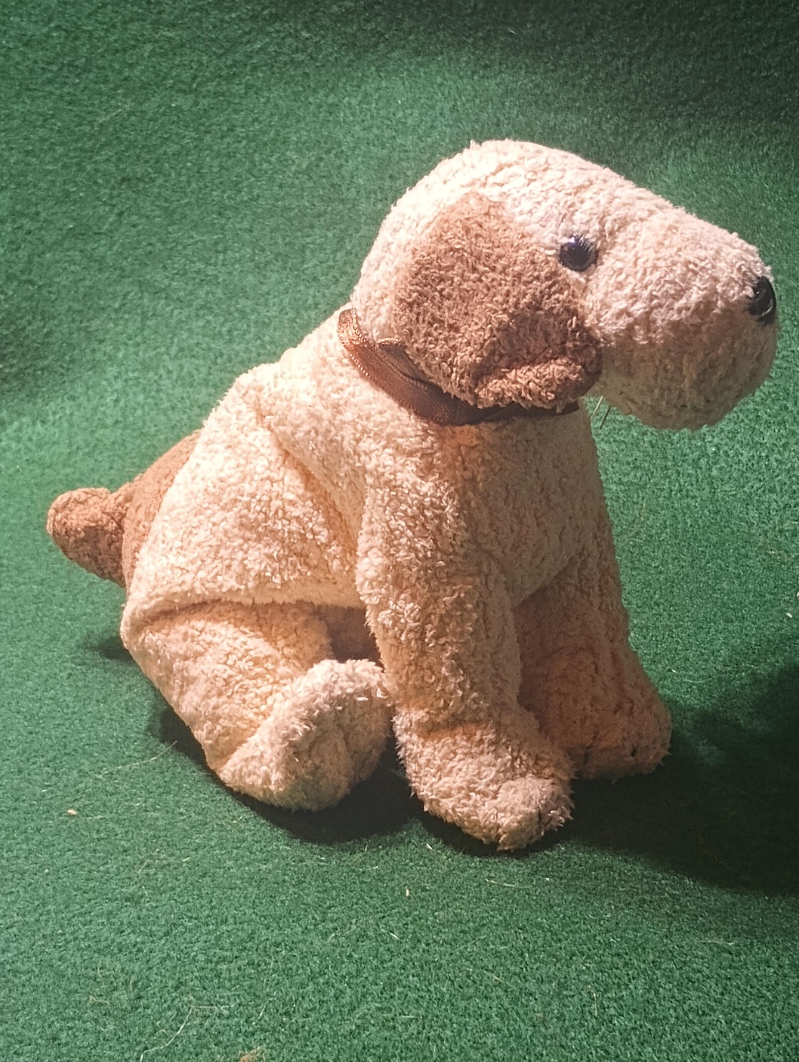 Rufus MINT RARE Ty " Rufus " Was Born With Errors in 2000 Which Makes ...