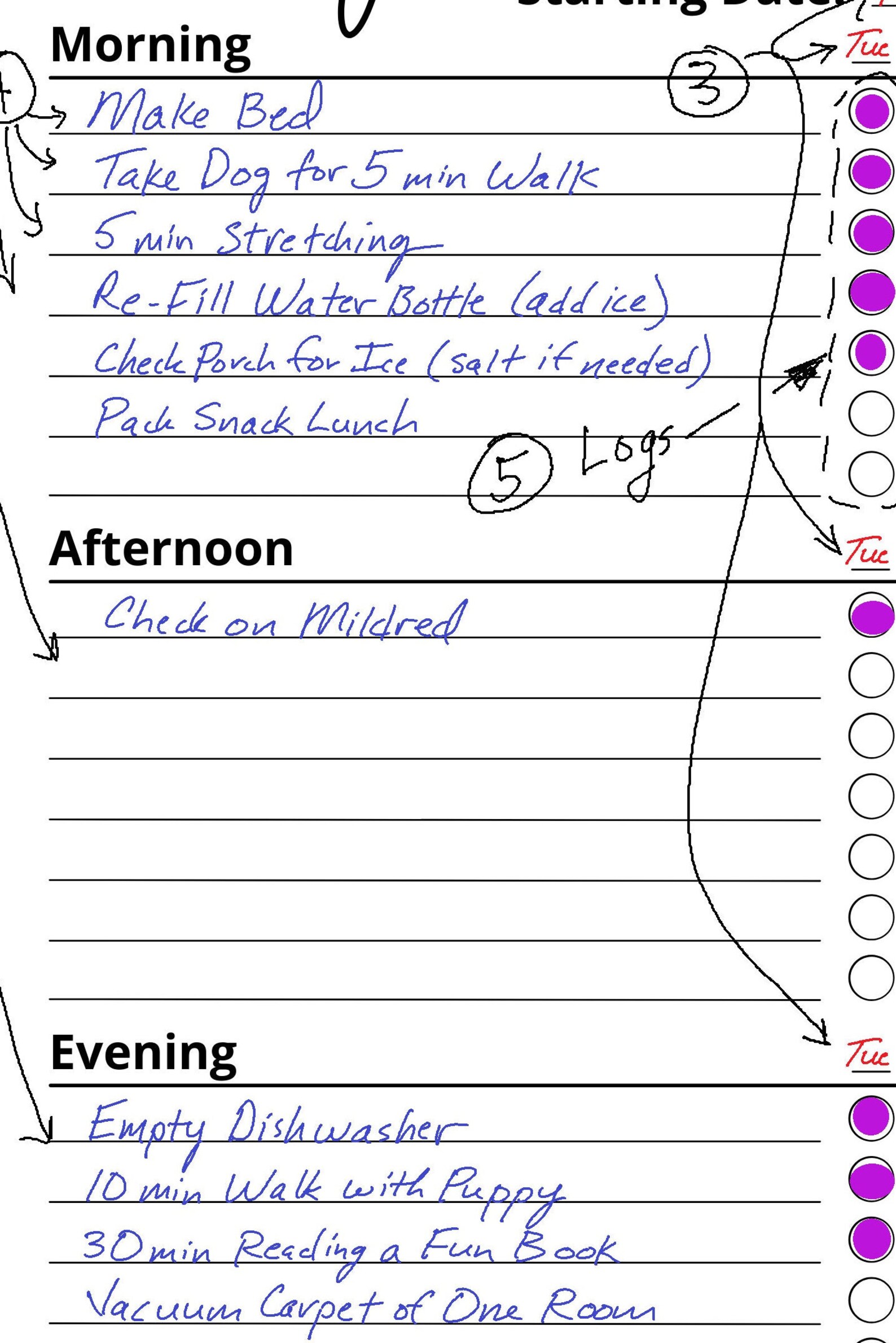 Daily Routine Log: Basic Printable PDF Tracker - Etsy