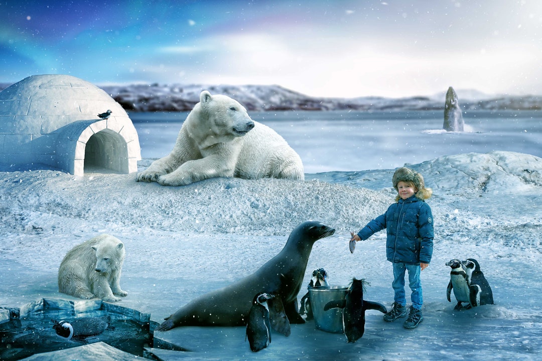 Digital Winter Photography Background - Etsy