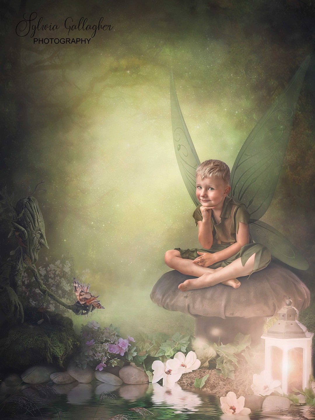 Fantasy Fairy Digital Backdrop - Etsy