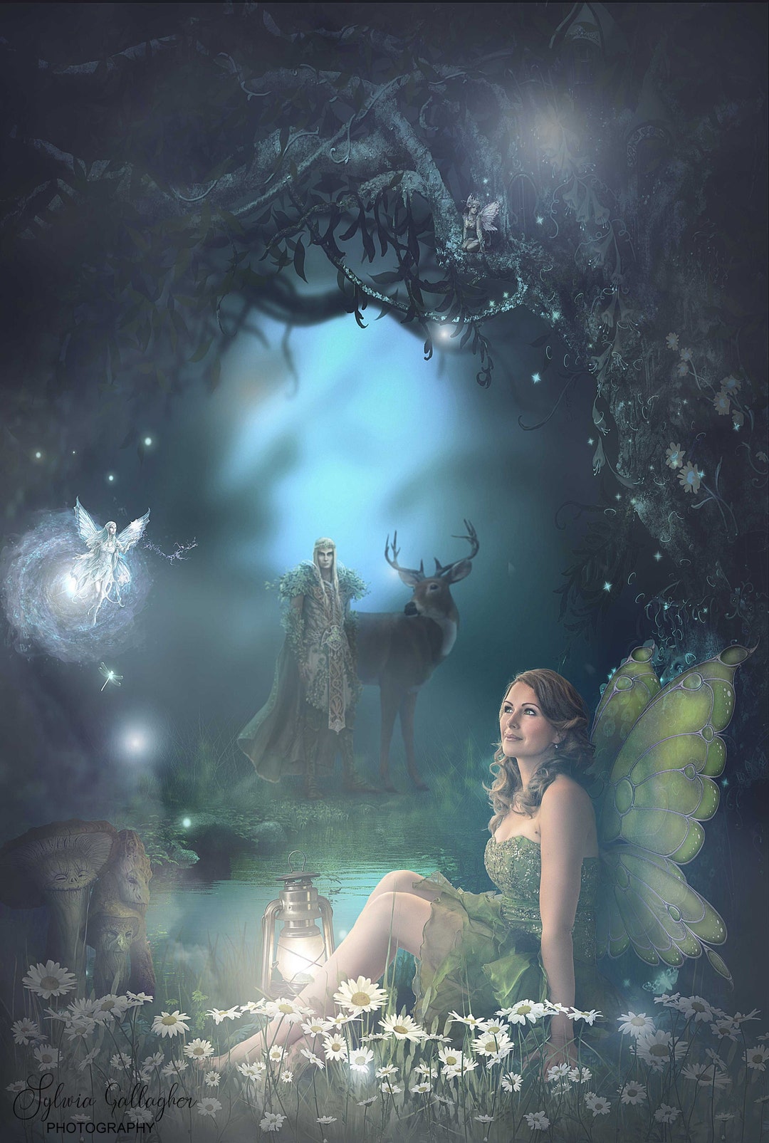 Fairy Digital Backdrop - Etsy